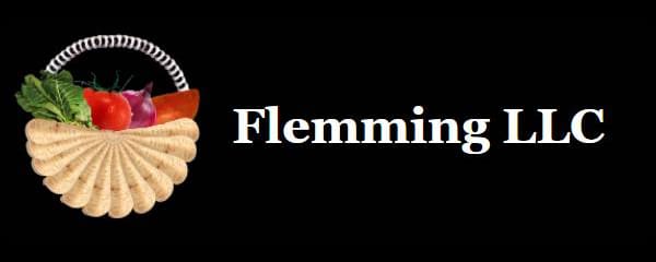 High Visibility Vest – Flemming LLC